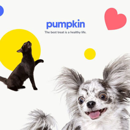 Pumpkin Petcare Insurance | Goldsboro, NC | Eastwaye Veterinary Clinic
